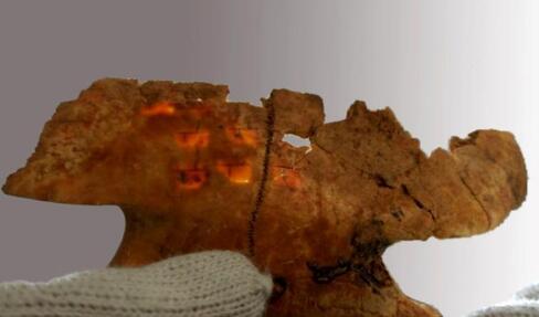 Tortoise shell oracle bones discovered in NW China ancient tomb